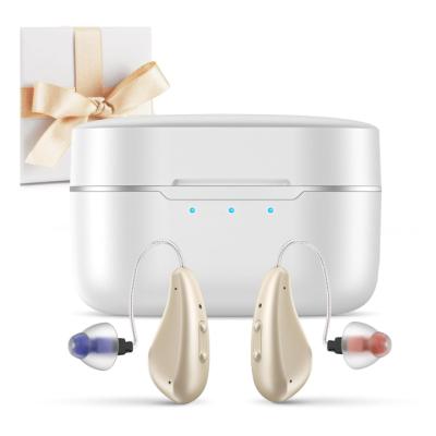 Китай Получите облегчение от умеренной и тяжелой потери слуха с нашими безрецептурными слуховыми аппаратами, сертифицированными CE, 4 программы продается