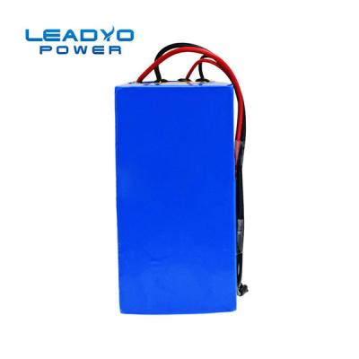 China LEADYO Custom Lithium Battery Rechargeable Lithium Ion Battery Pack 48V 20Ah for sale
