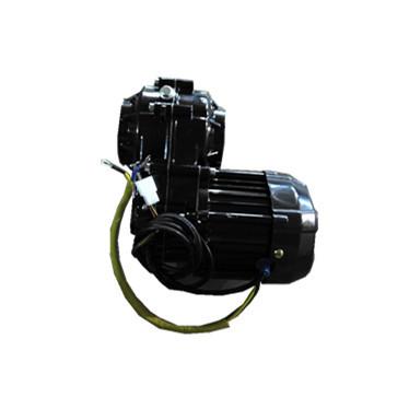 China Lightweight Electric Brushless Motor Brushless For Electric Tricycle Parts for sale