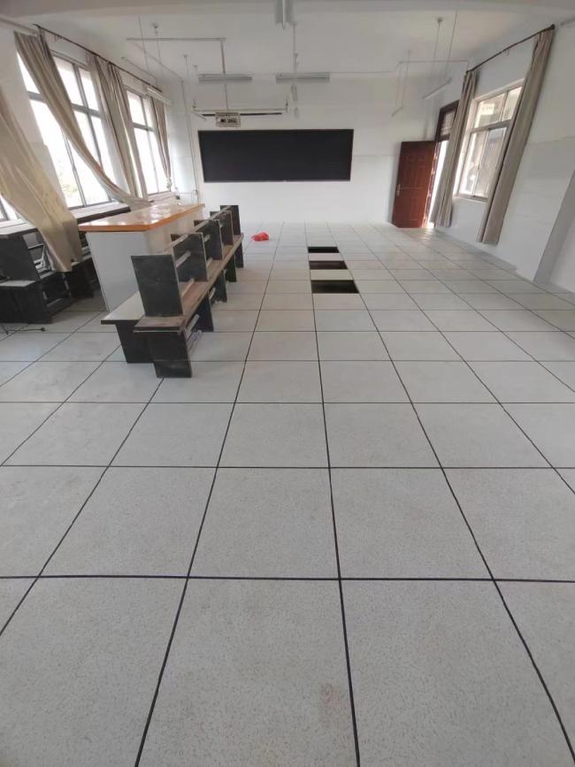 Customized Raised Access Floor