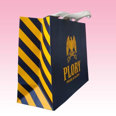 China custom eco-friendly paper shopping bag with cotton rope manufacturer for sale