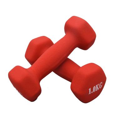 Cina la testa di legno regolabile della palestra di 5kg 10kg 20kg ha messo il diametro solido 30mm del ghisa per forma fisica in vendita