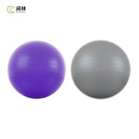 China Multiple Sizes 55cm Yoga Exercise Ball explosion proof for sale