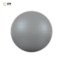 China Multiple Sizes 55cm Yoga Exercise Ball explosion proof for sale