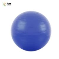 China Multiple Sizes 55cm Yoga Exercise Ball explosion proof for sale