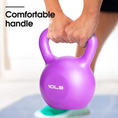 China Purpere Volledige Lichaam de Bouwsterkte die Kettlebell opleiden 10 Pond 15 Pond 20 Pond Te koop