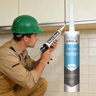China Professional Neutral-Cure Silicone Sealant for Exterior Wall, Stone Bonding and General Construction Applications for sale