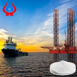 China Safety Industrial CMC Oil Drilling Grade Additive Carboxymethyl Cellulose HACCP for sale