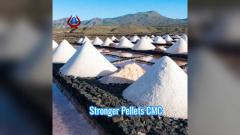 CMC Thickener For Mineral Processing
