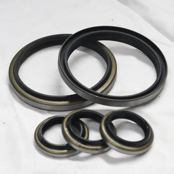 Quality Oil Resistant DKB NBR Dust Seal for Shaft in High Temperature Hydraulic for sale