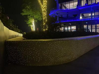 중국 반짝이는 콘크리트 의자: 태양 에너지로 작동 하는 야외 의자, 공원, 광장 및 경관적 장소 를 위한 맞춤형 벤치, 조절 가능한 빛원 을 갖춘 특수 모양의 나무 심기 판매용