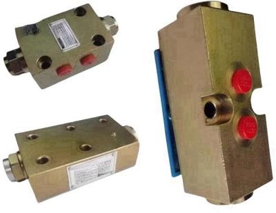 China 1010300282 1010304623 1010300275 Zoomlion Crane Parts Outrigger Lock Two Way Hydraulic Lock for sale