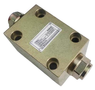 China 1010300282 1010304623 1010300275 Zoomlion Crane Parts Outrigger Lock Two Way Hydraulic Lock for sale