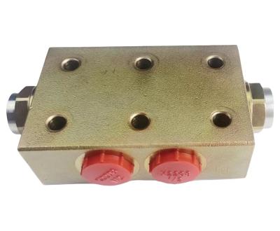China 1010300282 1010304623 1010300275 Zoomlion Crane Parts Outrigger Lock Two Way Hydraulic Lock for sale