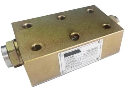 China 1010300282 1010304623 1010300275 Zoomlion Crane Parts Outrigger Lock Two Way Hydraulic Lock for sale
