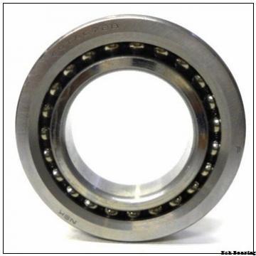 China Nsk 95dsf01 Precision Ball Bearings for sale