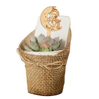 China Succulent Tags Watch Me Grow Wooden Plant Label Garden Marker Plant Sign Succulent Labels for Mother's Day Baby Shower for sale