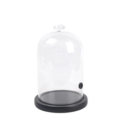 China Clear Glass Dome, Glass Bell Jar Cadle Cake Display Case  Black Wooden Base for Christmas Home Decor for sale