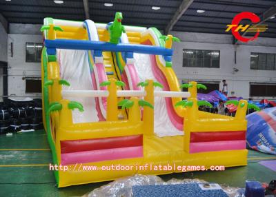 China Schools Inflatable Outdoor Water Slides , Inflatable Jumping House for sale