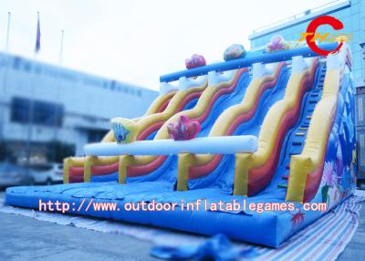 China Kids / Adults Customized Big Inflatable Water Slide Fire Retardant CE Certificated for sale
