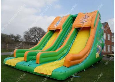 China Rent Backyard Huge Inflatable Water Slides For Water Park / Games for sale