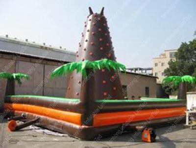 China Commercial Inflatable Climbing Wall 5m x 5m x 6m For Playground for sale