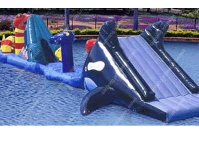 China 0.9mm Pvc Inflatable Water Toys15m x 6m water proof For backyard for sale