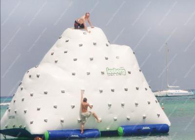 China Durable Inflatable Climbing Wall Water Slides for sale