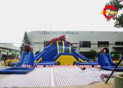 China Home Swimming Pool Water Slide / inflatable bouncy castles for sale