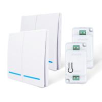 China Learning Code Encoding Type Wireless Remote Switch with 2.4GWIFI Frequency for sale