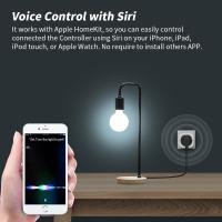 China US Plug Smart Homekit Socket 16A 2 Pin DIY Wifi Enabled Plug Socket for sale