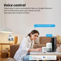 China US Plug Smart Homekit Socket 16A 2 Pin DIY Wifi Enabled Plug Socket for sale