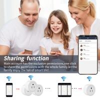 China US Plug Smart Homekit Socket 16A 2 Pin DIY Wifi Enabled Plug Socket for sale