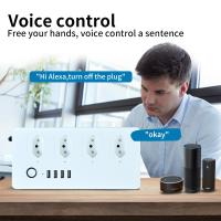 China Remote Control Homekit Light Socket WiFi Automation TUYU Remote Control Wall Socket for sale