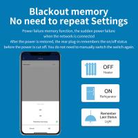 China Remote Control Homekit Light Socket WiFi Automation TUYU Remote Control Wall Socket for sale