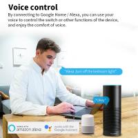 China Voice Control Homekit Thread Switch Automation Remote Homekit Scene Switch for sale
