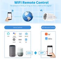 China Tuya Wifi Smart Socket Plug With Countdown / Timing Function for sale