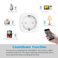 China Tuya Wifi Smart Socket Plug With Countdown / Timing Function for sale