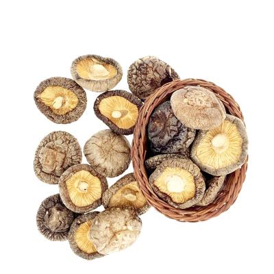 Cina Giapponese asciutto del fungo di shiitake di HACCP 1kg 3kg con buon gusto in vendita