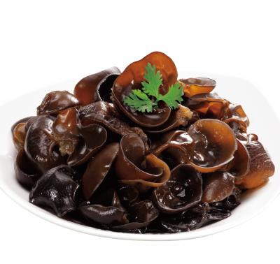 Cina Fungo nero fresco posteriore bianco lavato del fungo 100% di 1kg 3kgs in vendita