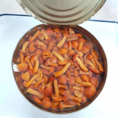 Cina Giallo ad alta temperatura di sterilizzazione 400g Straw Mushroom Can Nameko Light in vendita