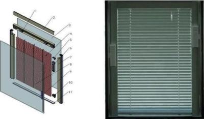 China Shading, Thermal Insulation, Built-in Shutters, Building Glass, Suitable for Making Windows and Doors for sale