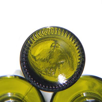 China Container de garrafa de azeite de vidro verde ODM com cabeça de bomba 17oz à venda