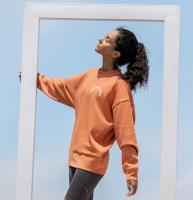China Crew Neck Plain Pullover Sweatshirt Oversized Solid Long Hoodies for sale