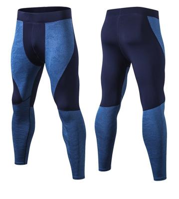 Cina Ghette delle calzamaglia di compressione di forma fisica delle ghette dell'allenamento degli uomini di riciclaggio di usura di allenamento in vendita