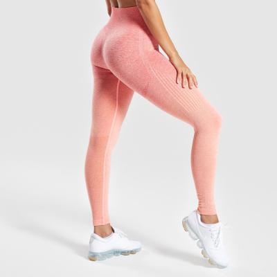 Cina Forma fisica di allenamento delle donne delle ghette delle calzamaglia della palestra di colore di pendenza che esegue i pantaloni in vendita