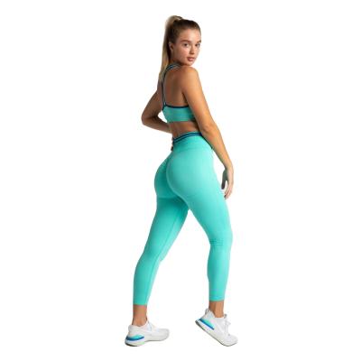 Cina Usura sexy di yoga di forma fisica della palestra delle ghette respirabili su ordinazione delle calzamaglia in vendita