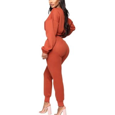 Cina Grinza di grande misura di Terry Fleece Plain Crew Neck del cotone del raccolto francese della maglietta felpata anti in vendita