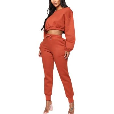 Cina Grinza di grande misura di Terry Fleece Plain Crew Neck del cotone del raccolto francese della maglietta felpata anti in vendita