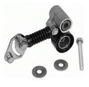 China Belt Tensioner Bearing 5195800 7384 for sale